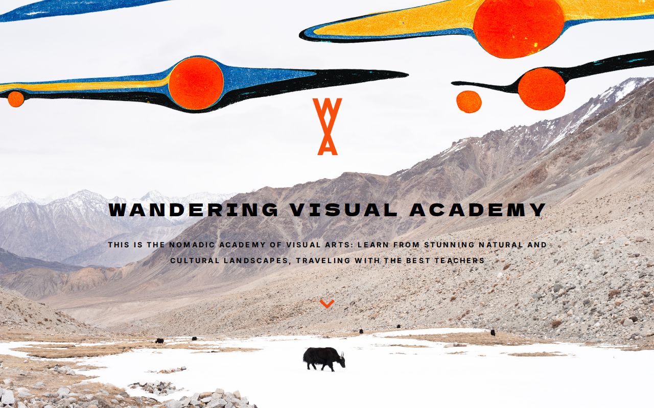 wandering visual academy